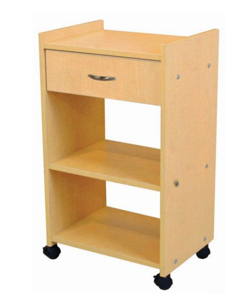 Portable Organizer Cart – Beauty Equipment Store